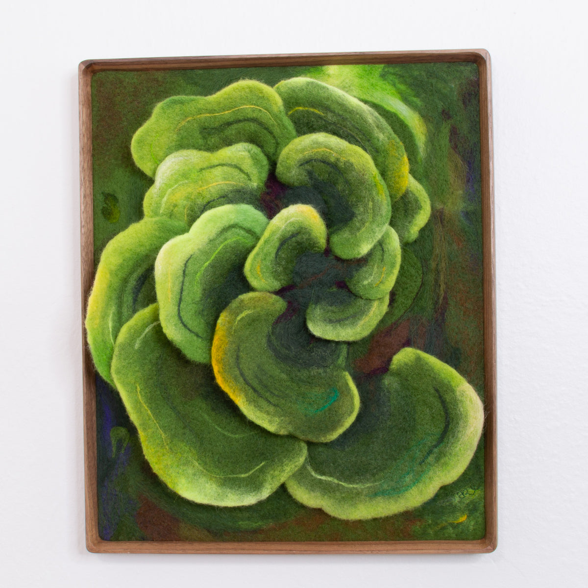 Euphony – Amy Reader Artist