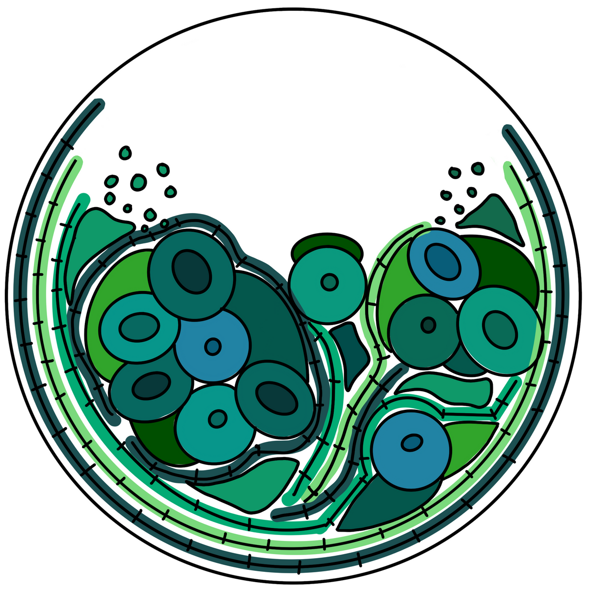Green Tide Pool Pattern, Guide, and Technique Booklet PDF DOWNLOAD ...